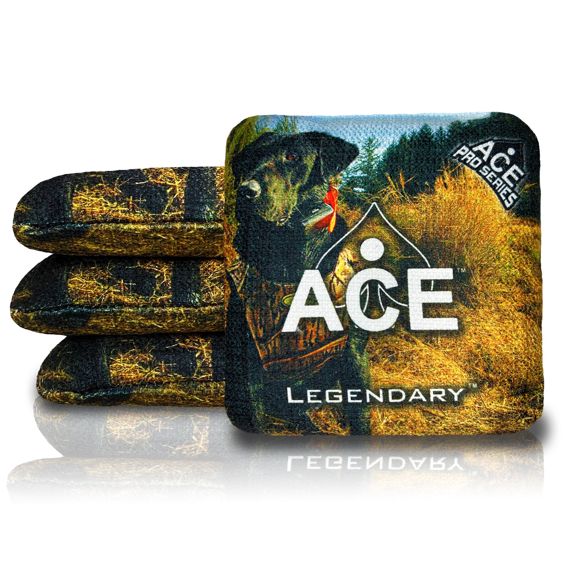 Legendary - Hunting Dog - ACE Pro Stamped – CornholeAce